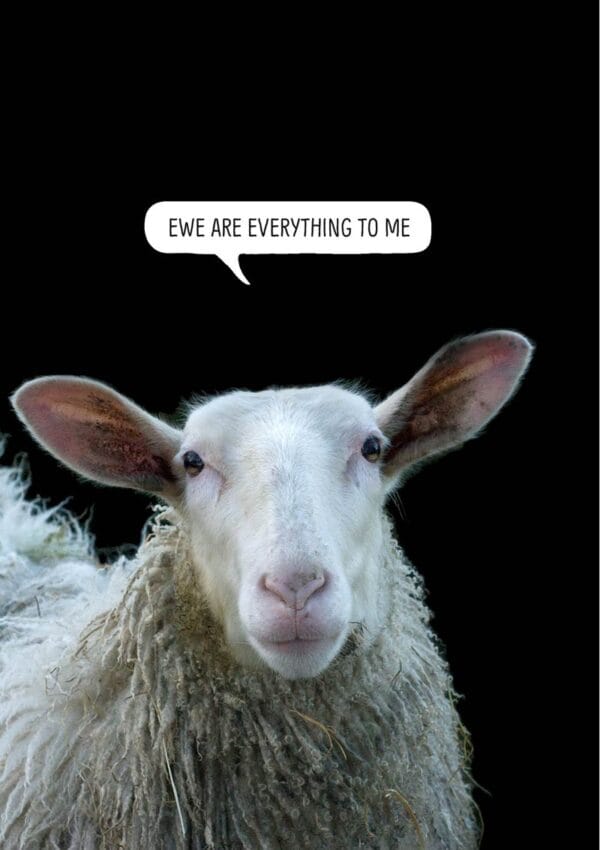 Romantic Everything Greeting Card: Ewe are Everything to Me