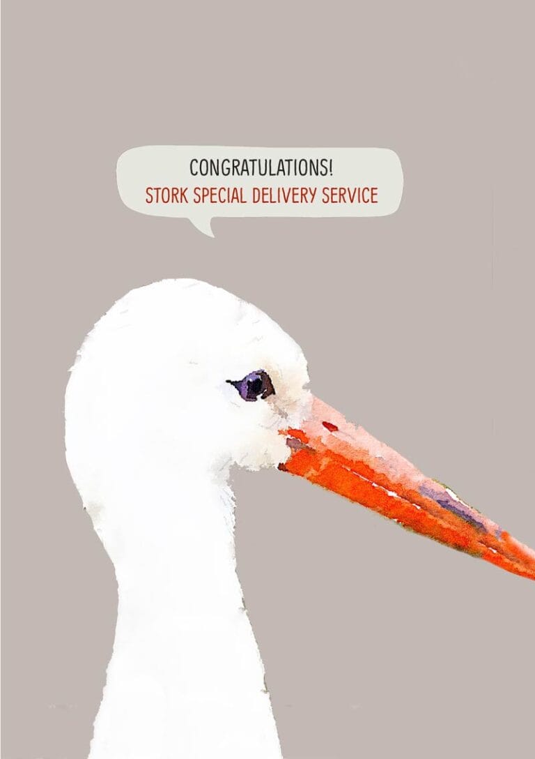 Who can resist this cutie? A white stork Birth and Baby card