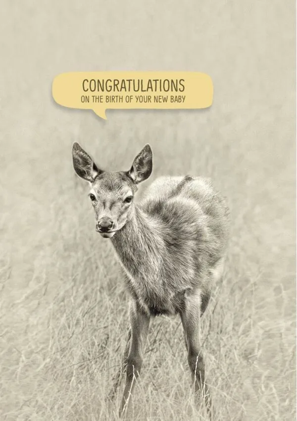 Deer card for a birth and text 'Congratulations on the birth of your baby'.