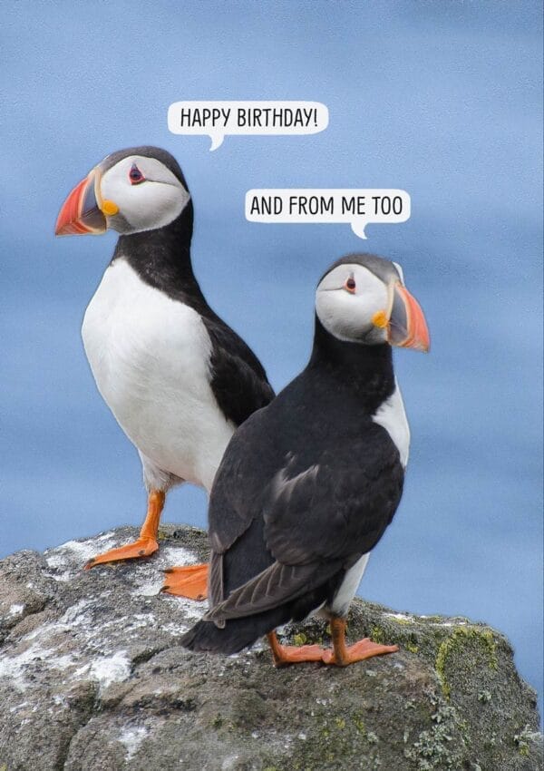 A Birthday Card with two puffins saying Happy Birthday